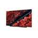 Buy LG 55 inch Ultra HD OLED TV, OLED55C9PTA Online At Best Price On Moglix