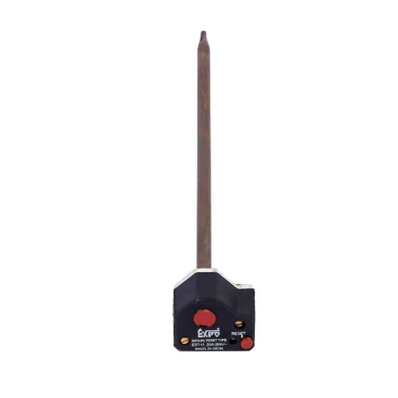Geyser thermostat store